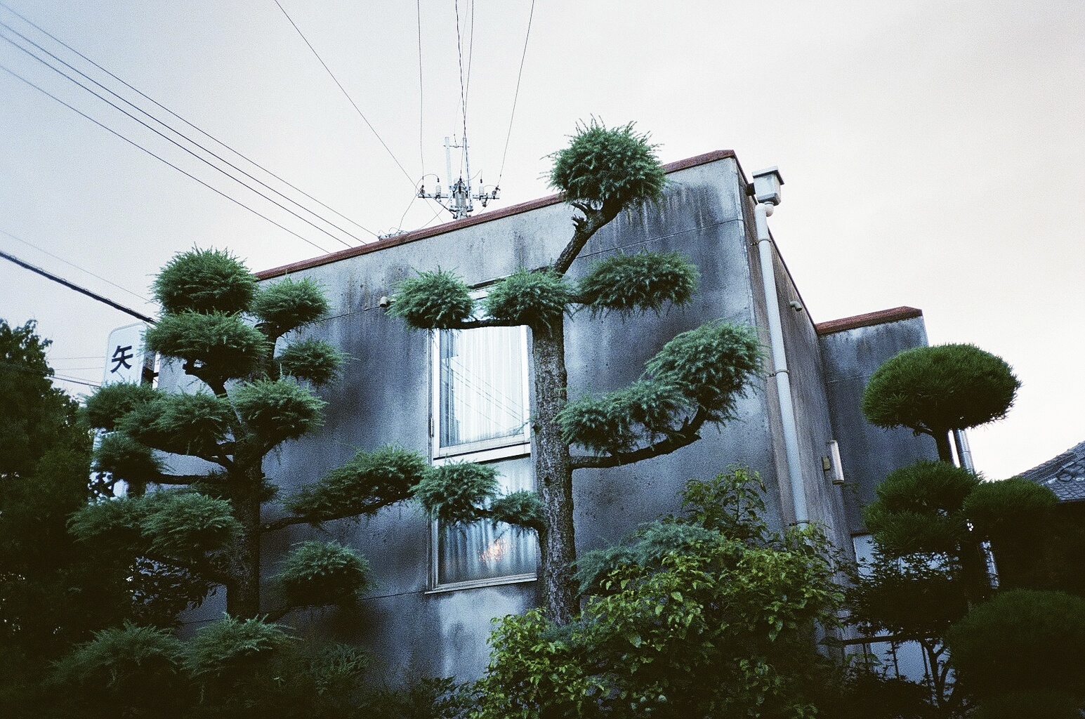 Views of Japan – Fiona Sergeant