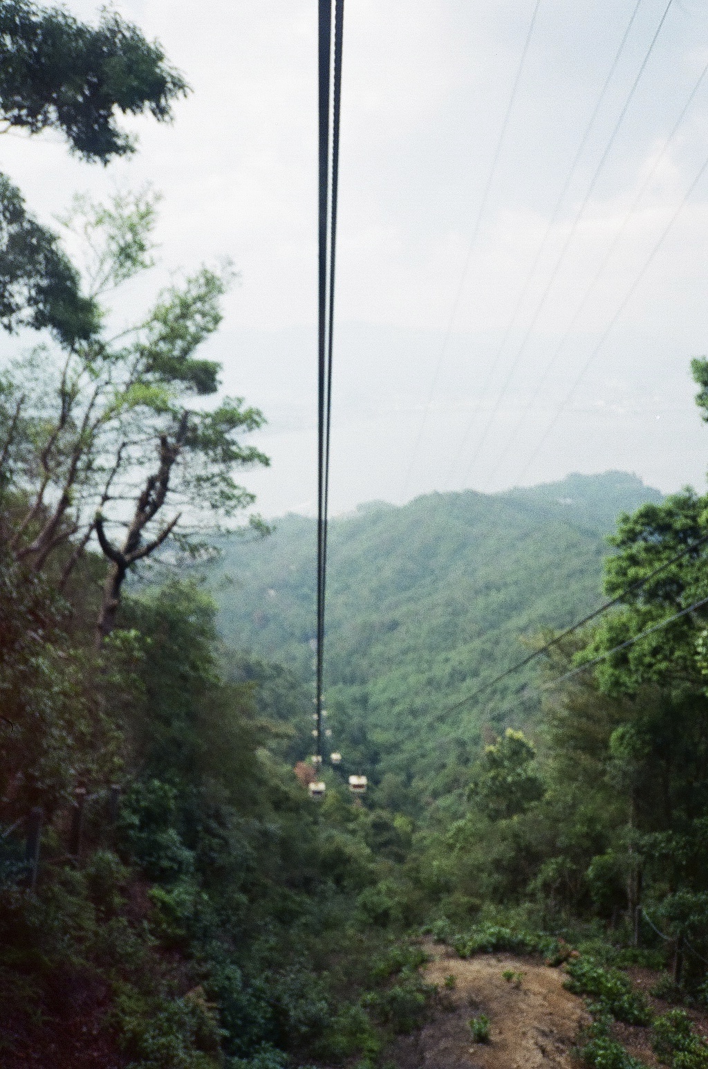 Views of Japan – Fiona Sergeant